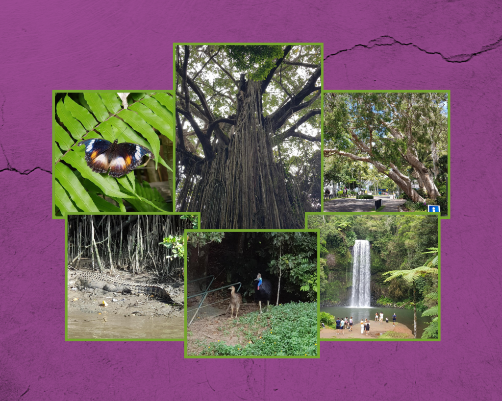 Q2 2023 – Welcome Back to Di’s Coffee Corner – DVE Solutions